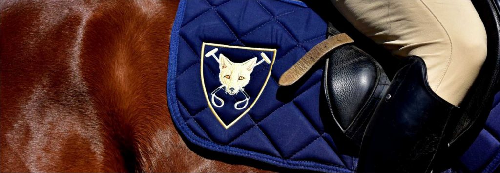 Stabling and Livery in Kyalami | Inanda Country Base
