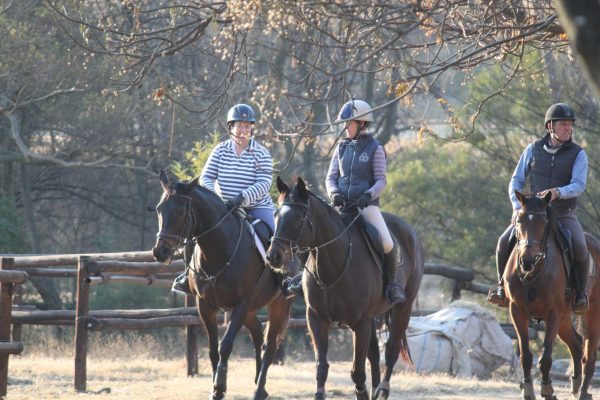 News - Inanda Country Base